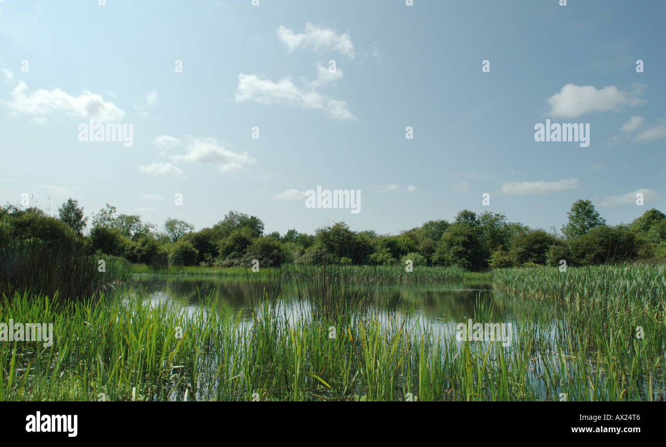 Pingo trail at Stow Bedon Thompson Norfolk UK Stock Photo - Alamy