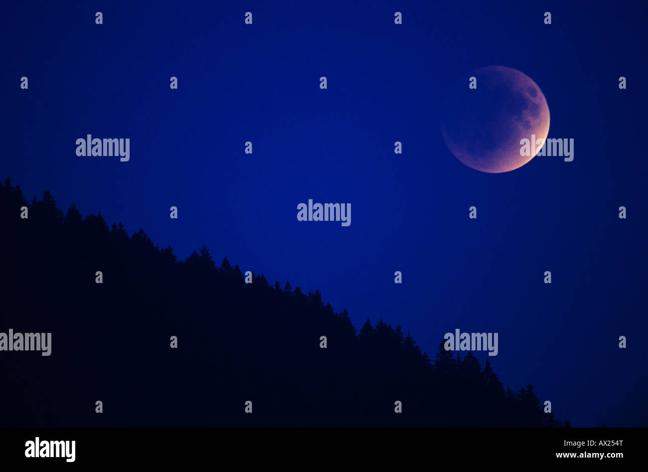 Lunar Eclipse over forest Zug Switzerland Stock Photo - Alamy