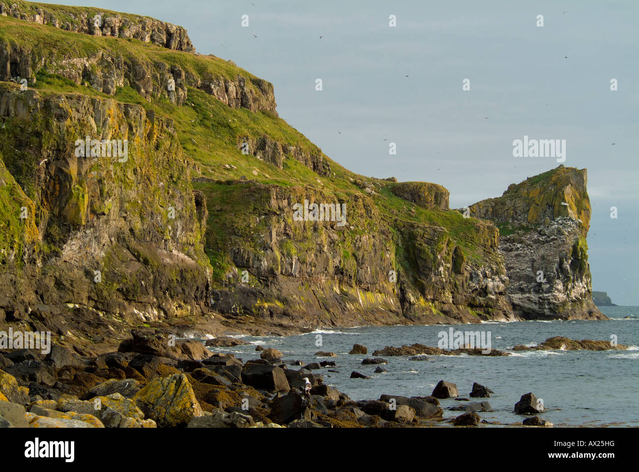 Coastal Cliffs, Lunga Island, Treshnish Isles, Scotland, UK, Europe Stock Photo - Alamy