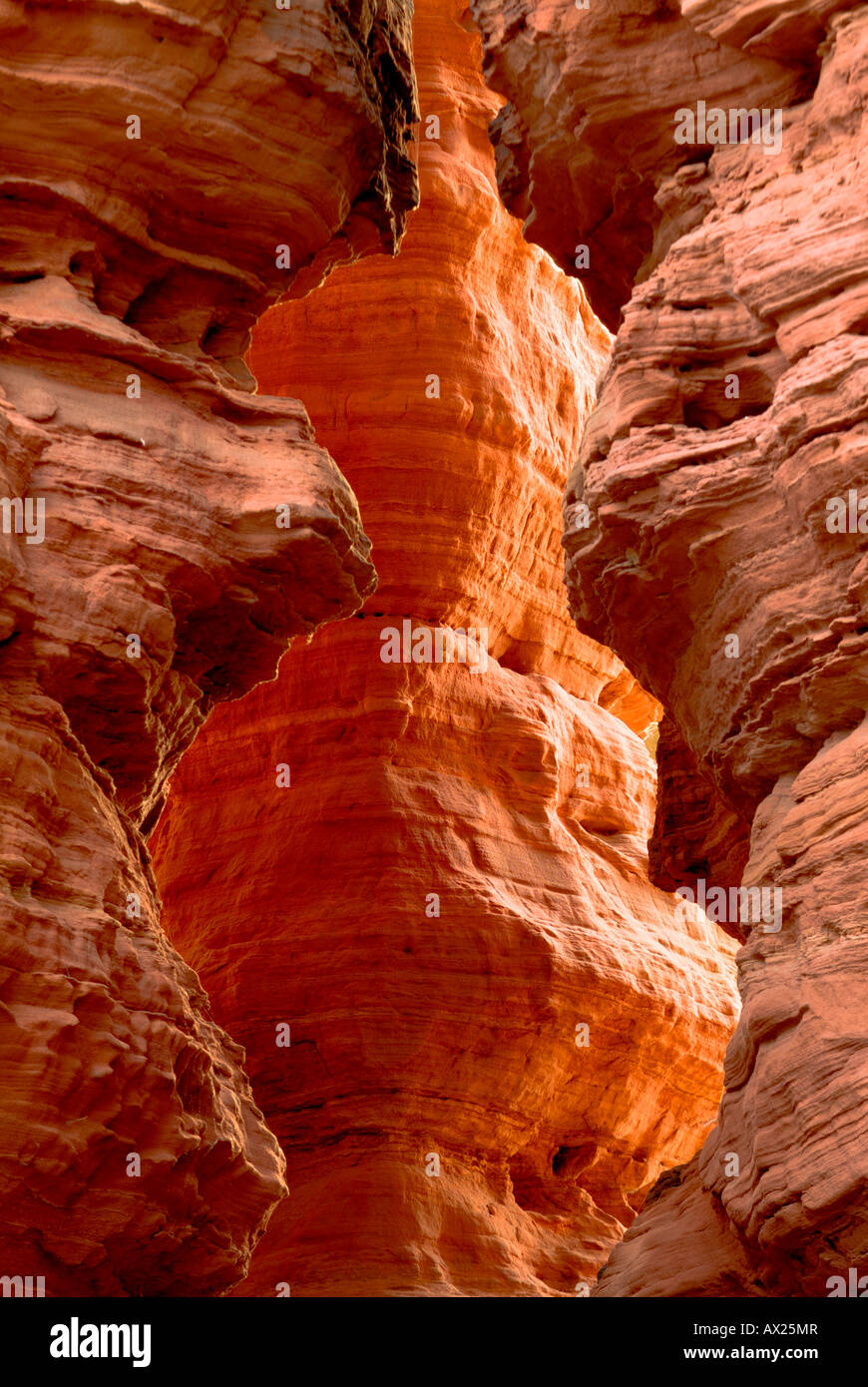 Altschlossfelsen, bright red rock formations at Naturpark Pfaelzer Wald ...