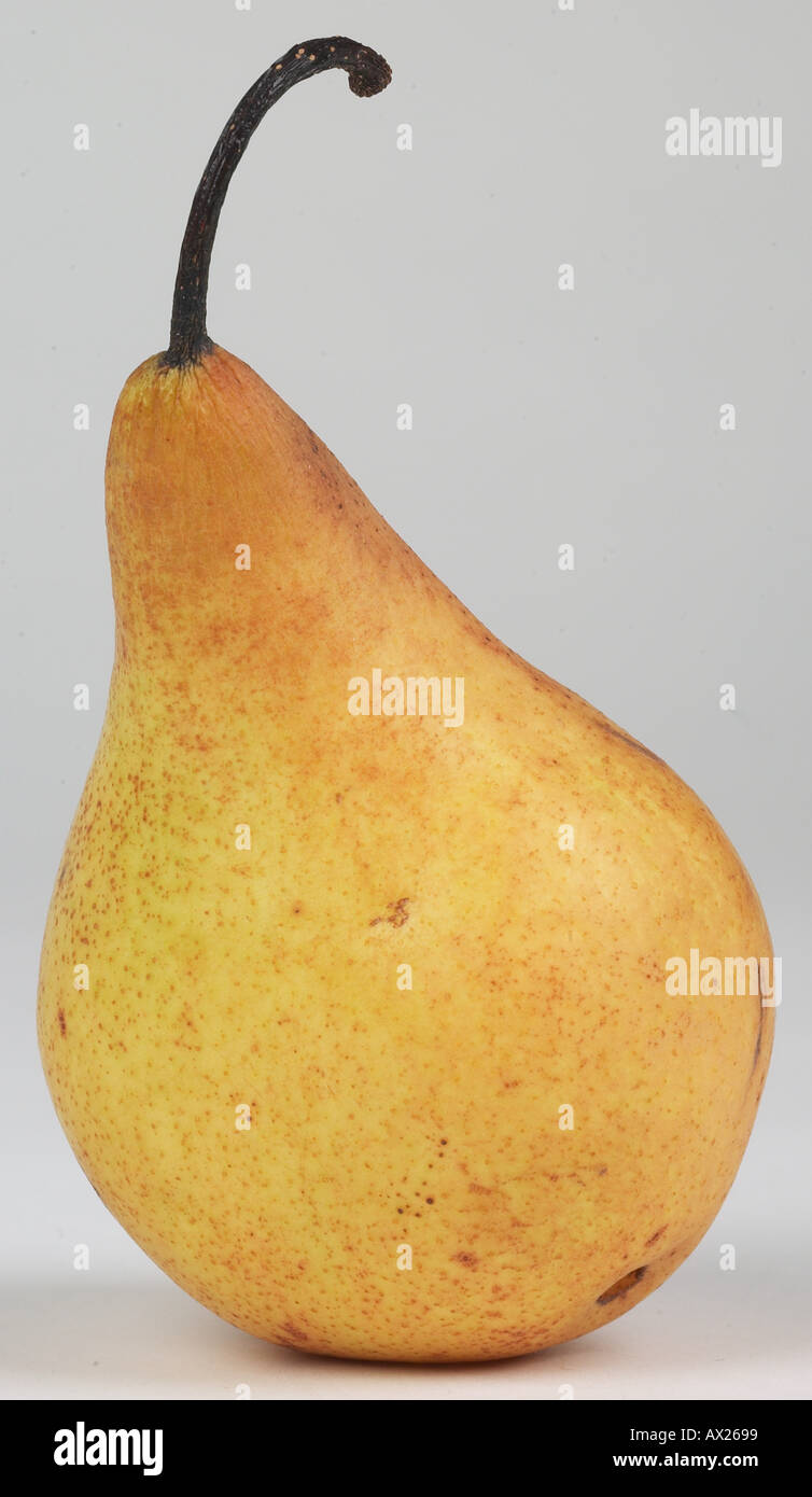French pear hi-res stock photography and images - Alamy