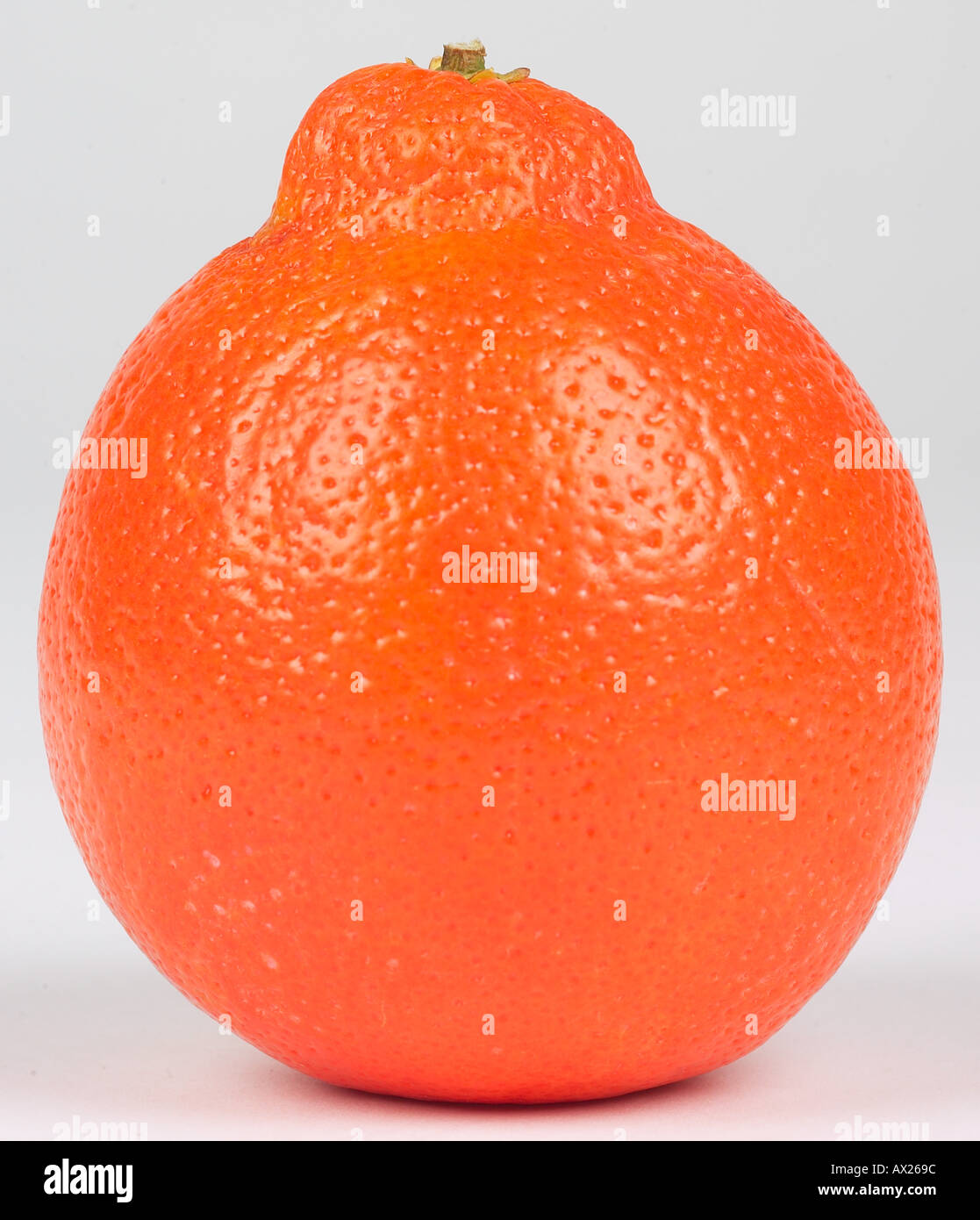 1431590 hi-res stock photography and images - Alamy