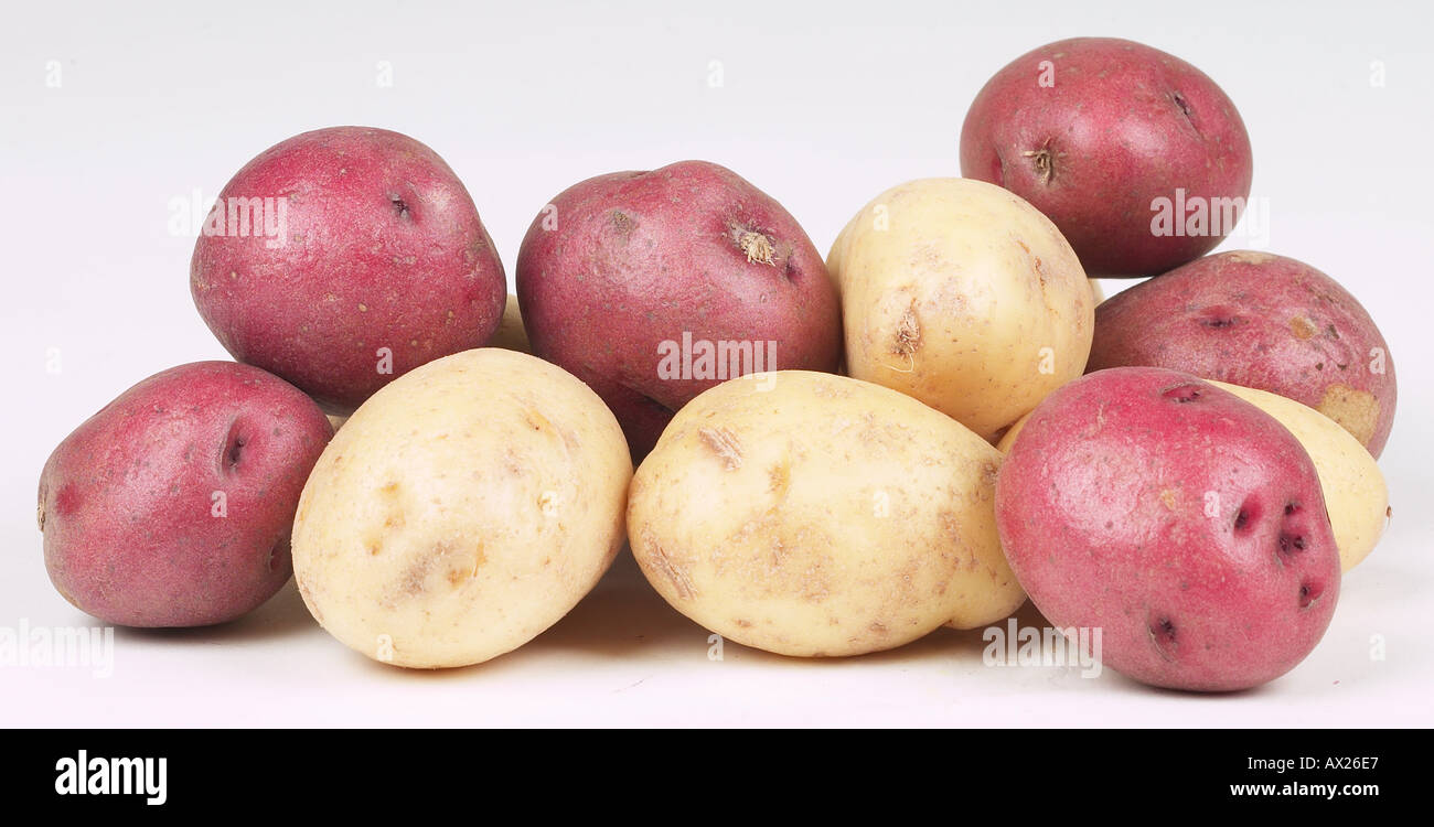 Red pontiac potatoes hi-res stock photography and images - Alamy