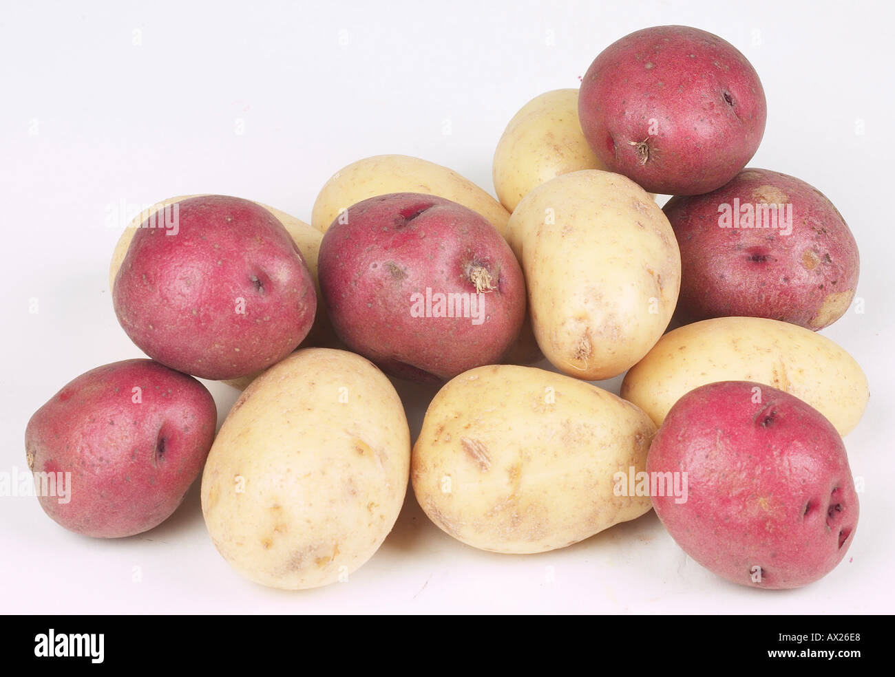 Red pontiac potatoes hi-res stock photography and images - Alamy