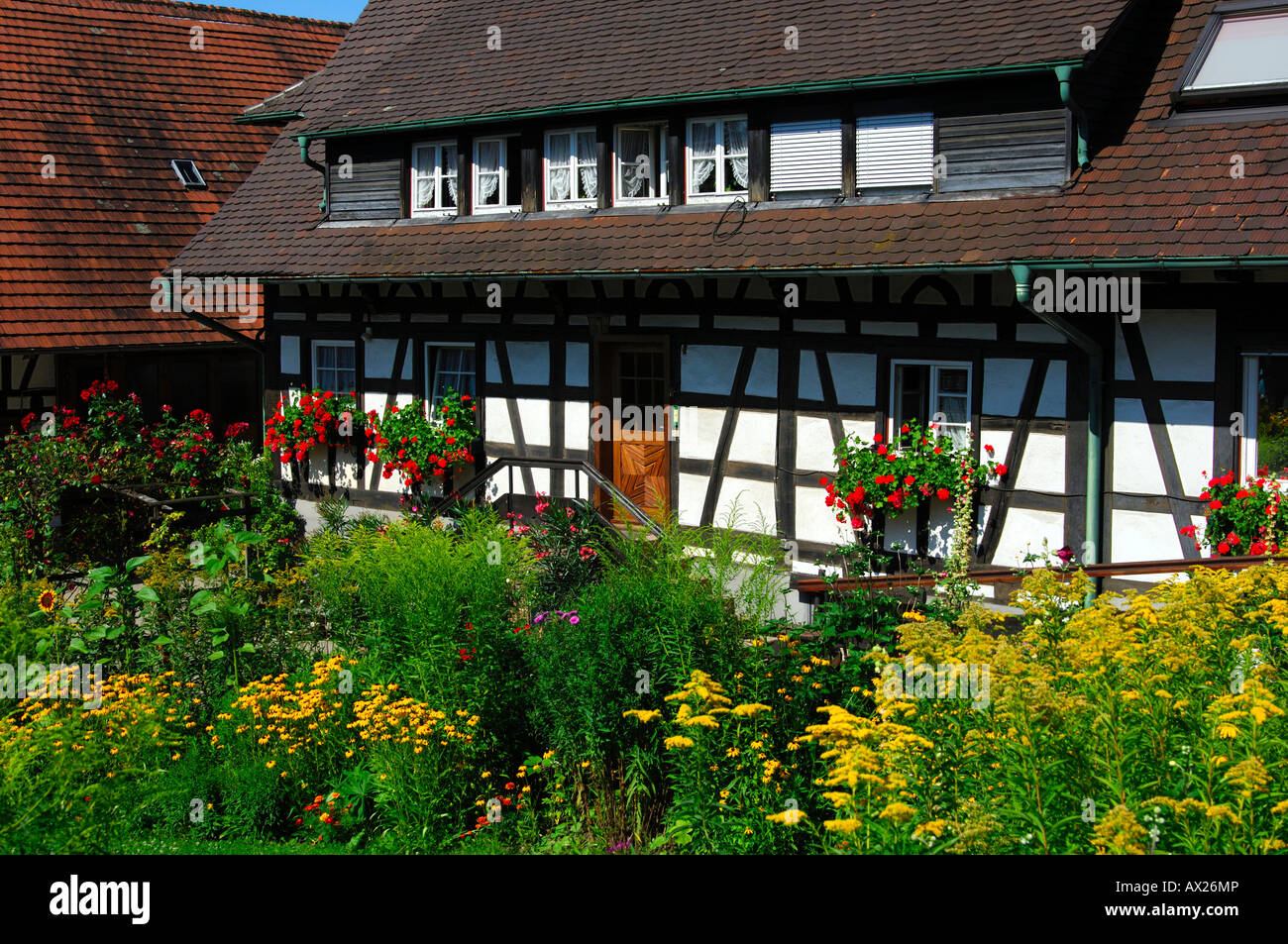 Traditional timber framed building, Sasbachwalden, Black Forest ...