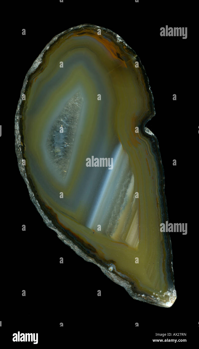 Fossile geologie hi-res stock photography and images - Alamy