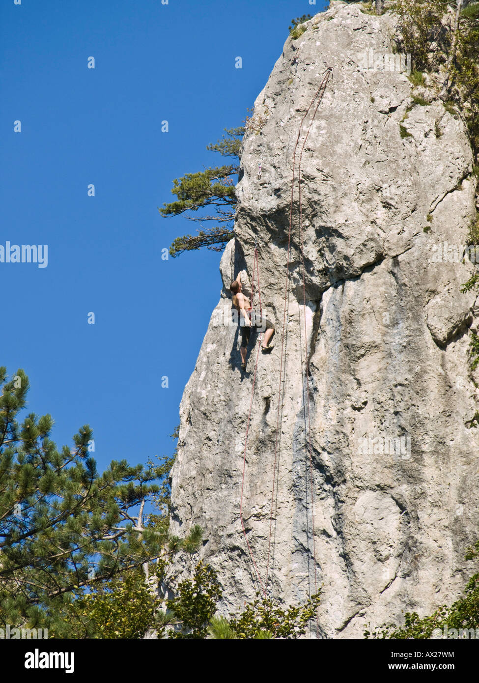 Rock-climbers climbing the rock face of Mt. Peilstein, Lower Austria ...