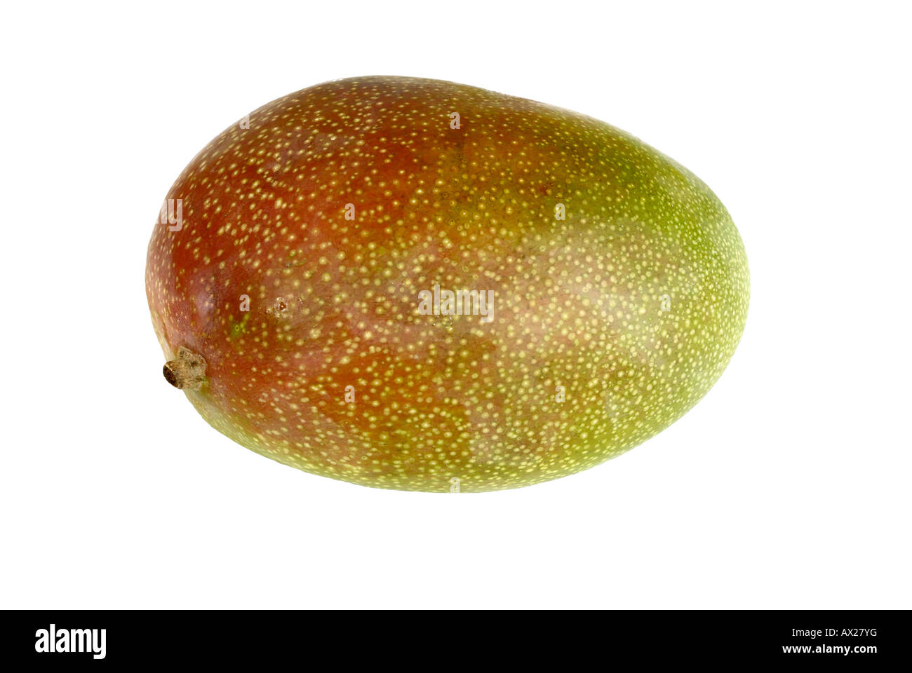 mango isolated on white background Stock Photo - Alamy