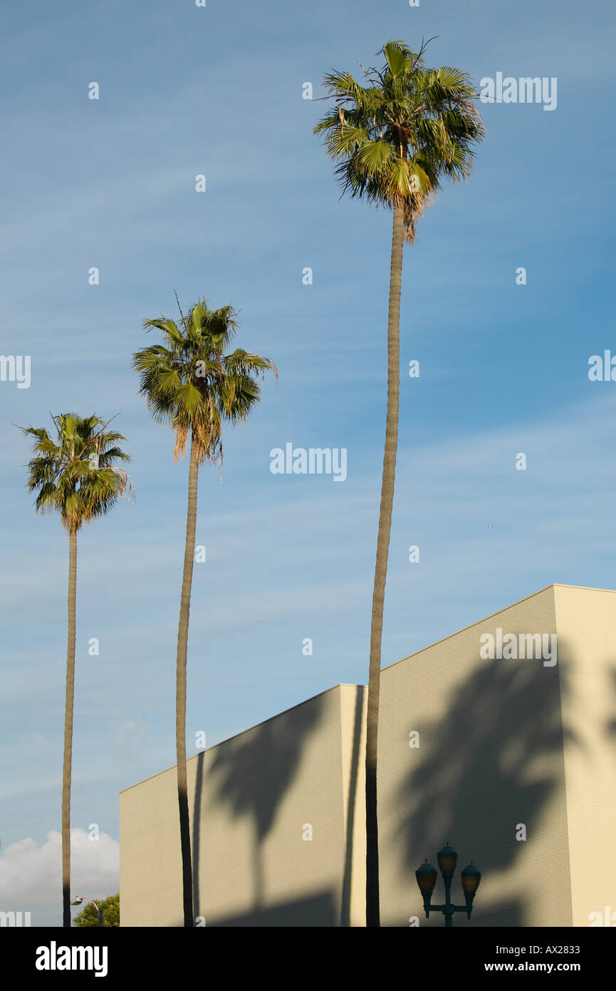 Outside shopping mall with palm trees hi-res stock photography and ...