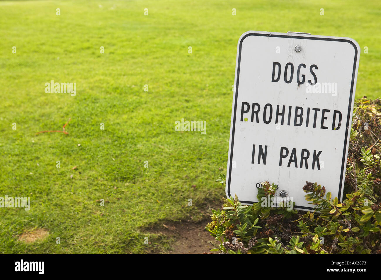 No dogs lawn sign hi-res stock photography and images - Alamy