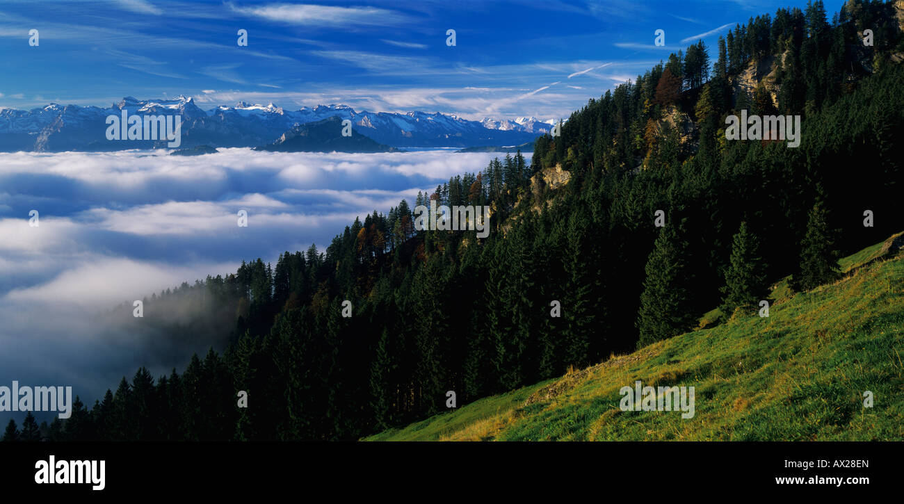 Swiss alps seen from Wildspitz peak Unteraegeri Zug Switzerland Stock ...