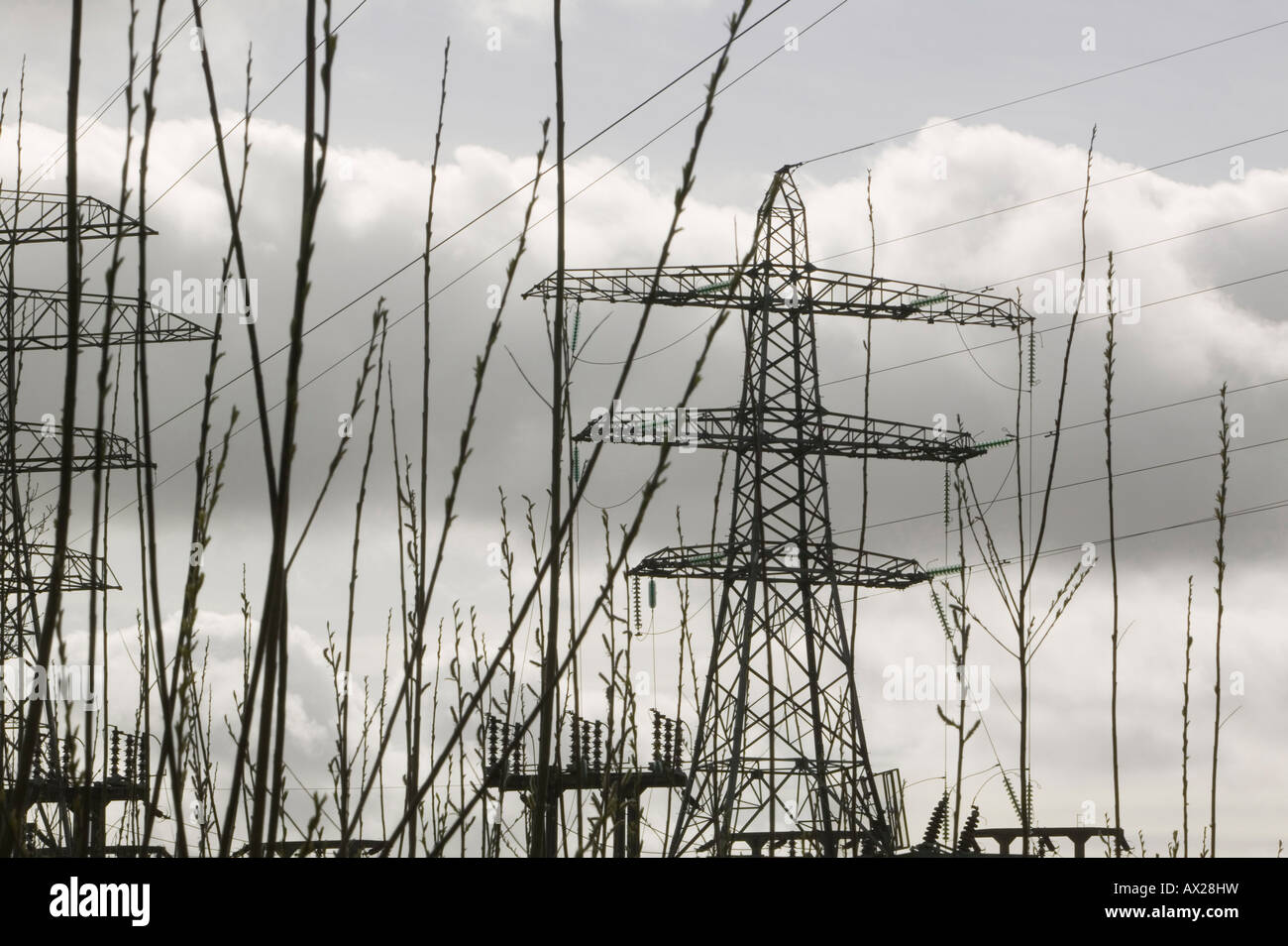 Used as bio fuel hi-res stock photography and images - Alamy