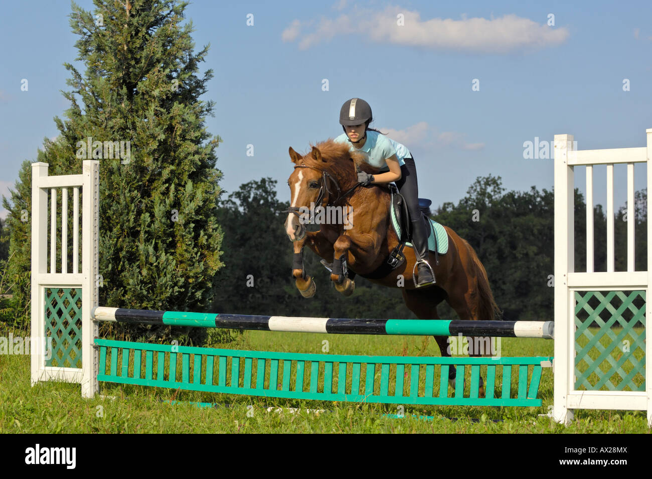 Girl riding pony jumping on hi-res stock photography and images - Alamy