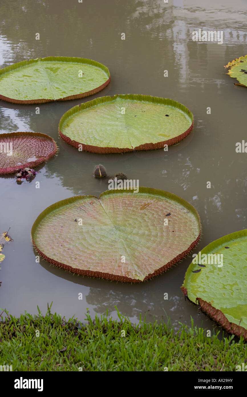 Thailand Chiang Mai Mandarin Oriental Resort Stock Photo - Alamy