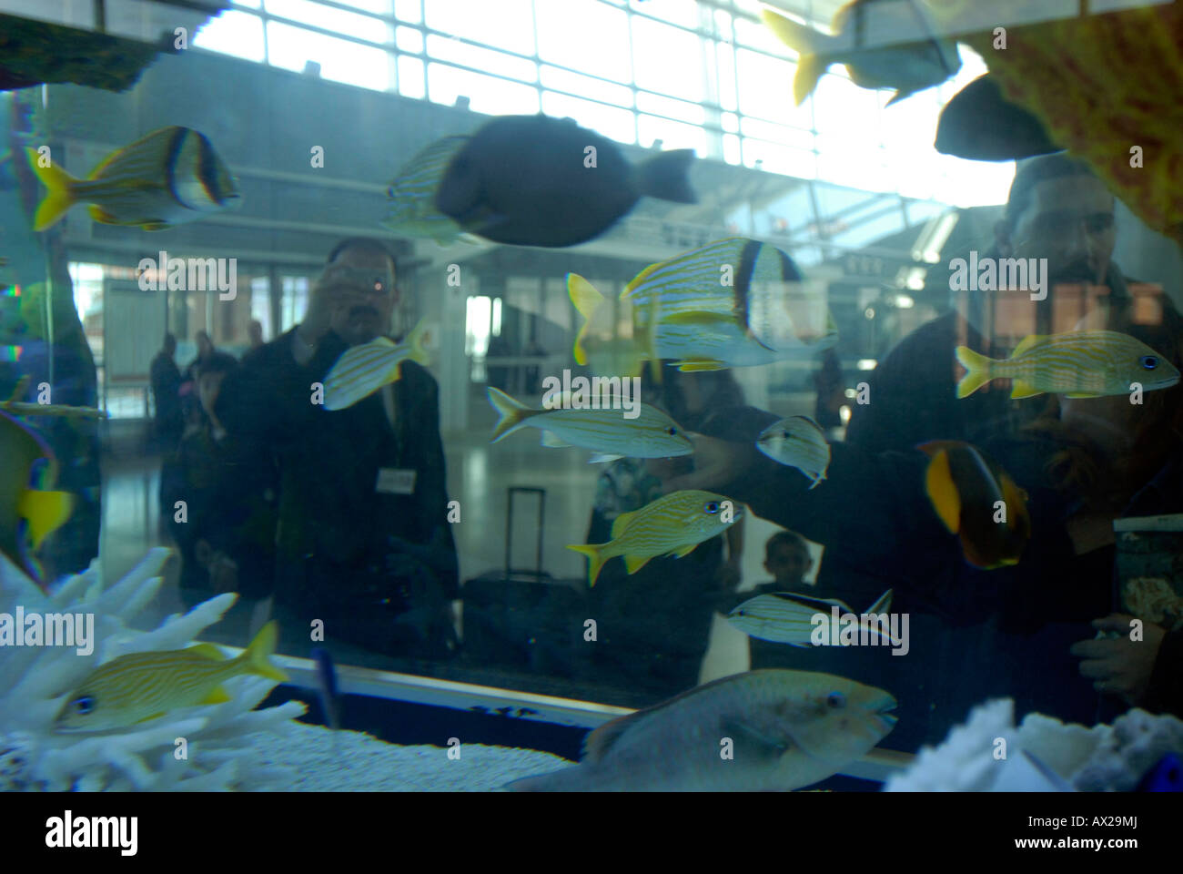 Staten Island Ferry Terminal High Resolution Stock Photography and ...