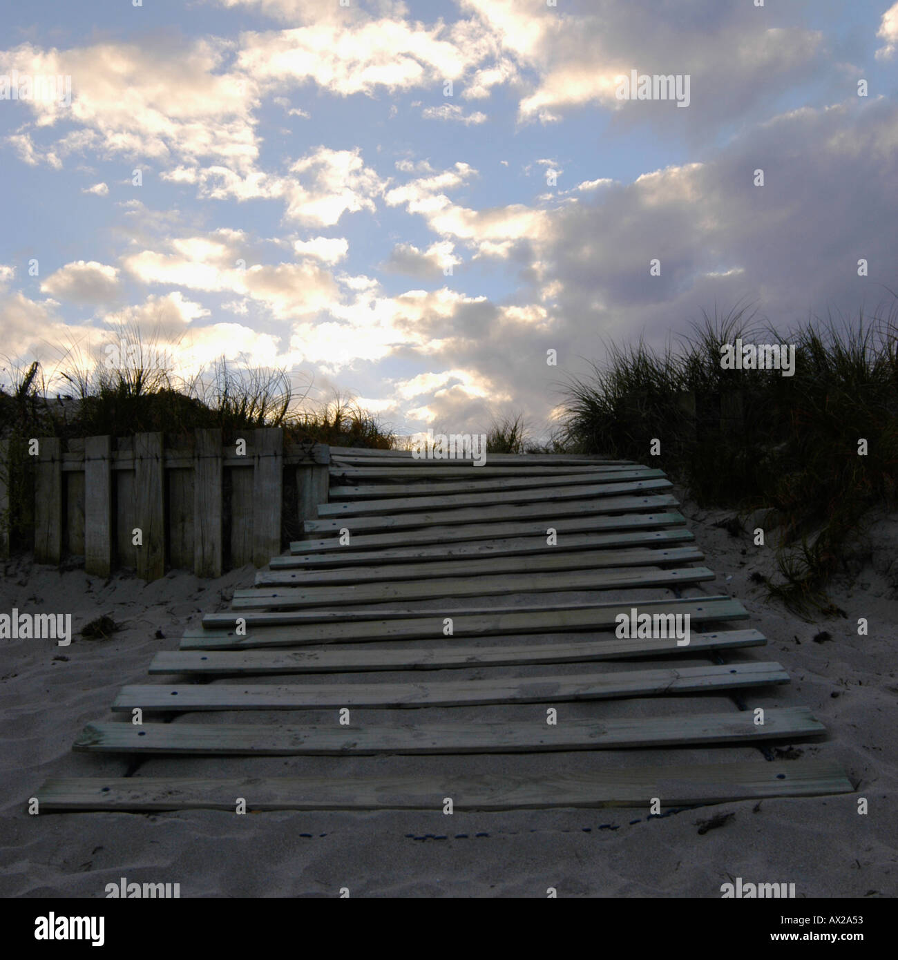 Dunes walkway whangamata Stock Photo - Alamy