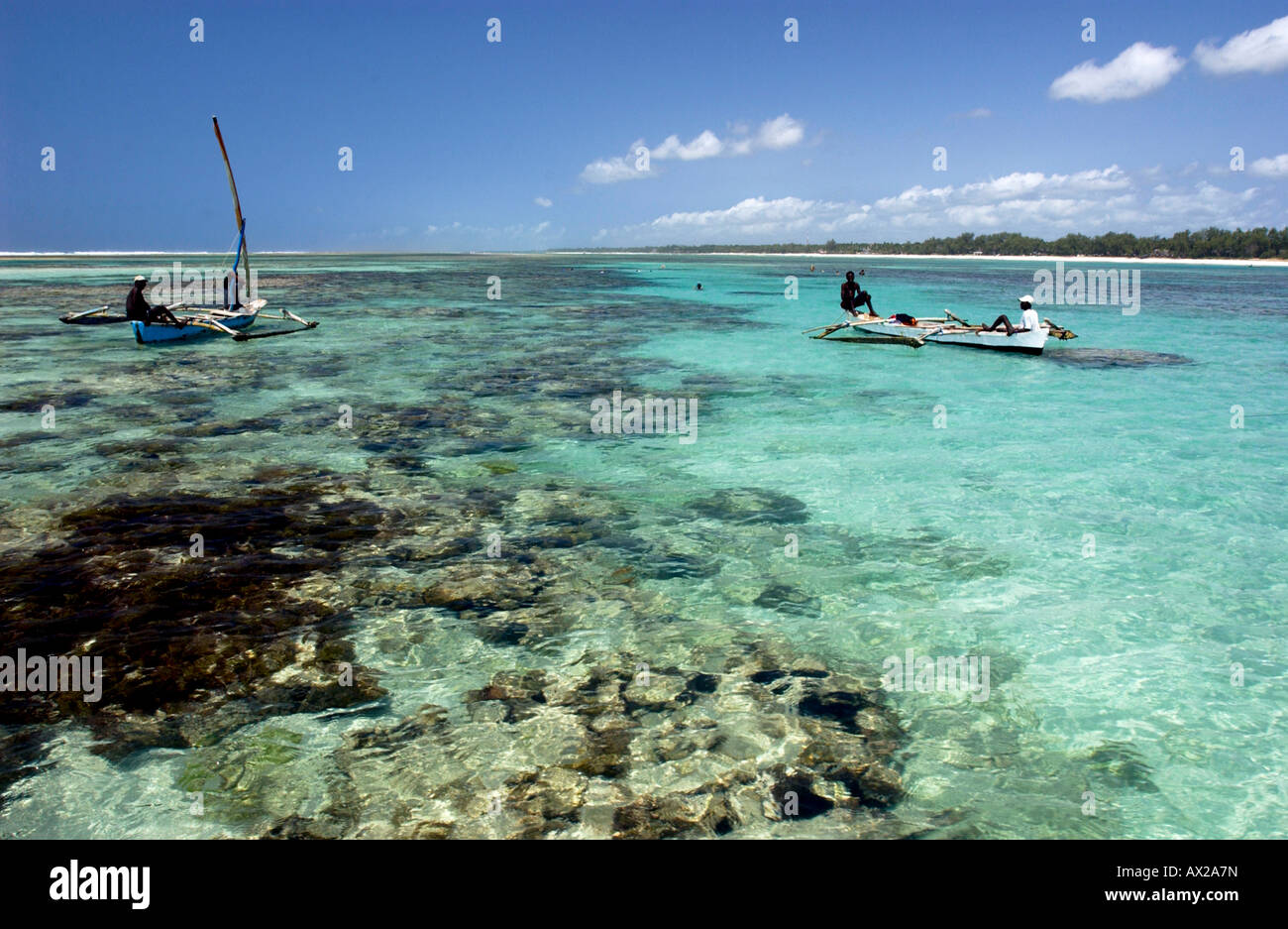 Diani Reef High Resolution Stock Photography and Images - Alamy