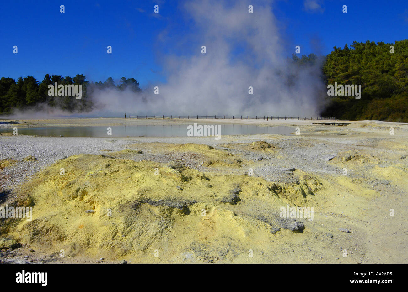 Thermal vent ocean hi-res stock photography and images - Alamy