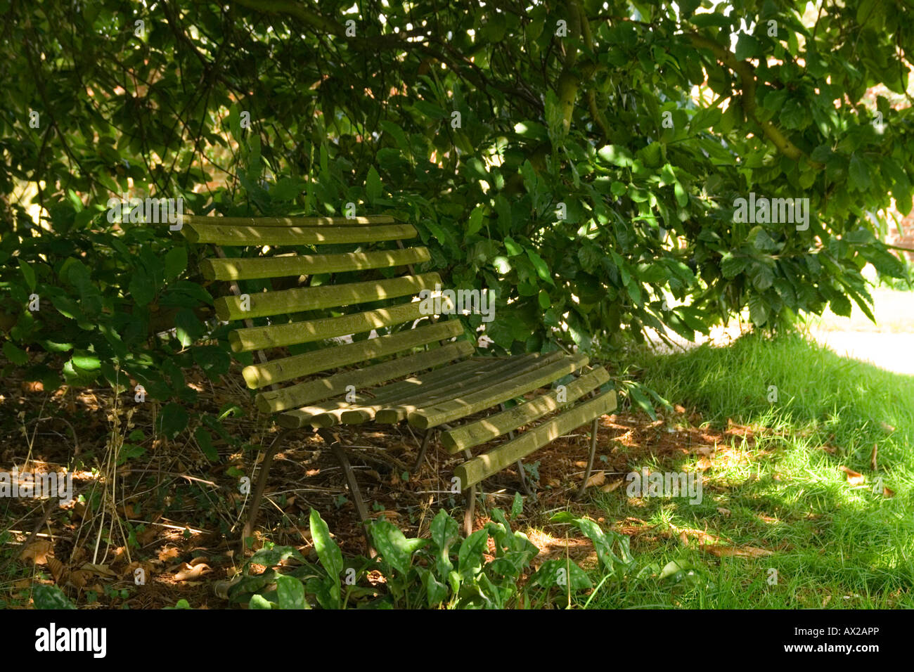 Shady, park bench, under trees, rest, state, quiet, repose, cessation ...