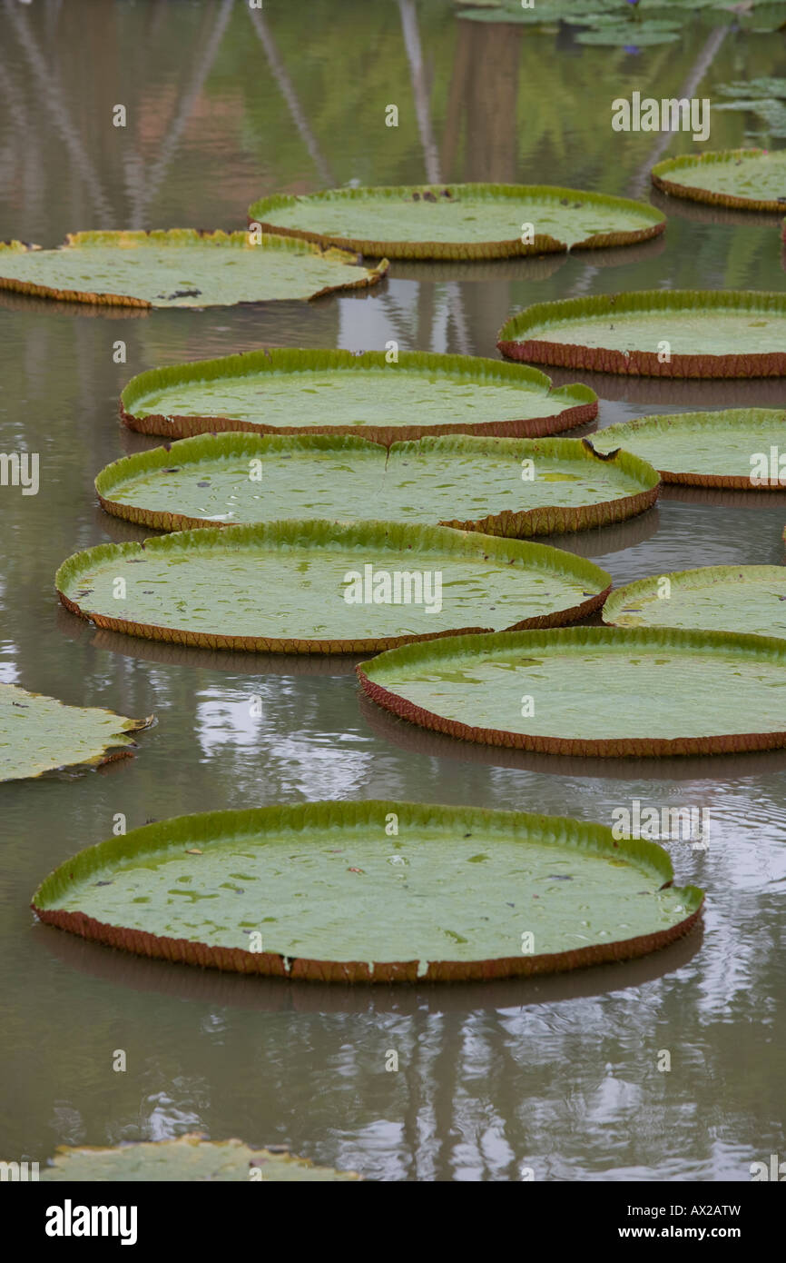 Thailand Chiang Mai Mandarin Oriental Resort Stock Photo - Alamy
