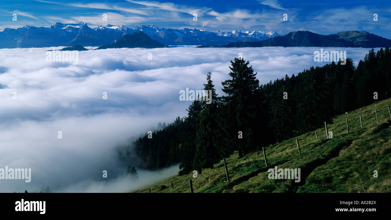 Swiss alps seen from Wildspitz peak Unteraegeri Zug Switzerland Stock ...