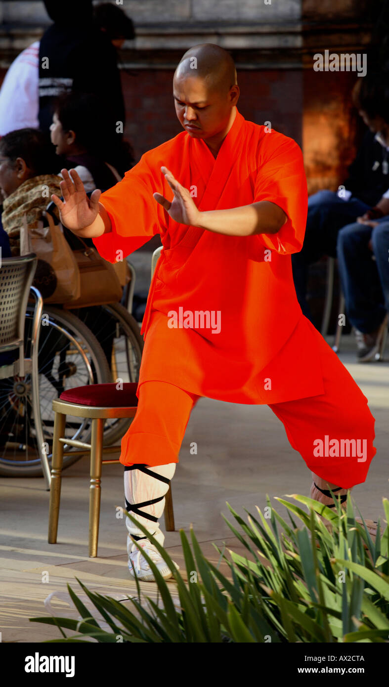 Imperial College Chinese Wushu Society Demo Team member performs ...
