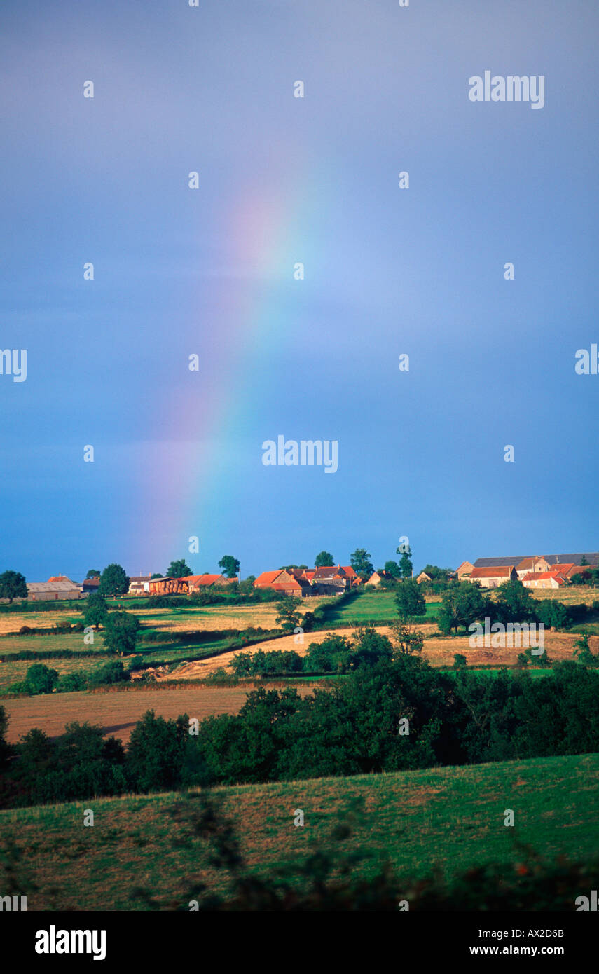 Rainbow over cows hi-res stock photography and images - Alamy