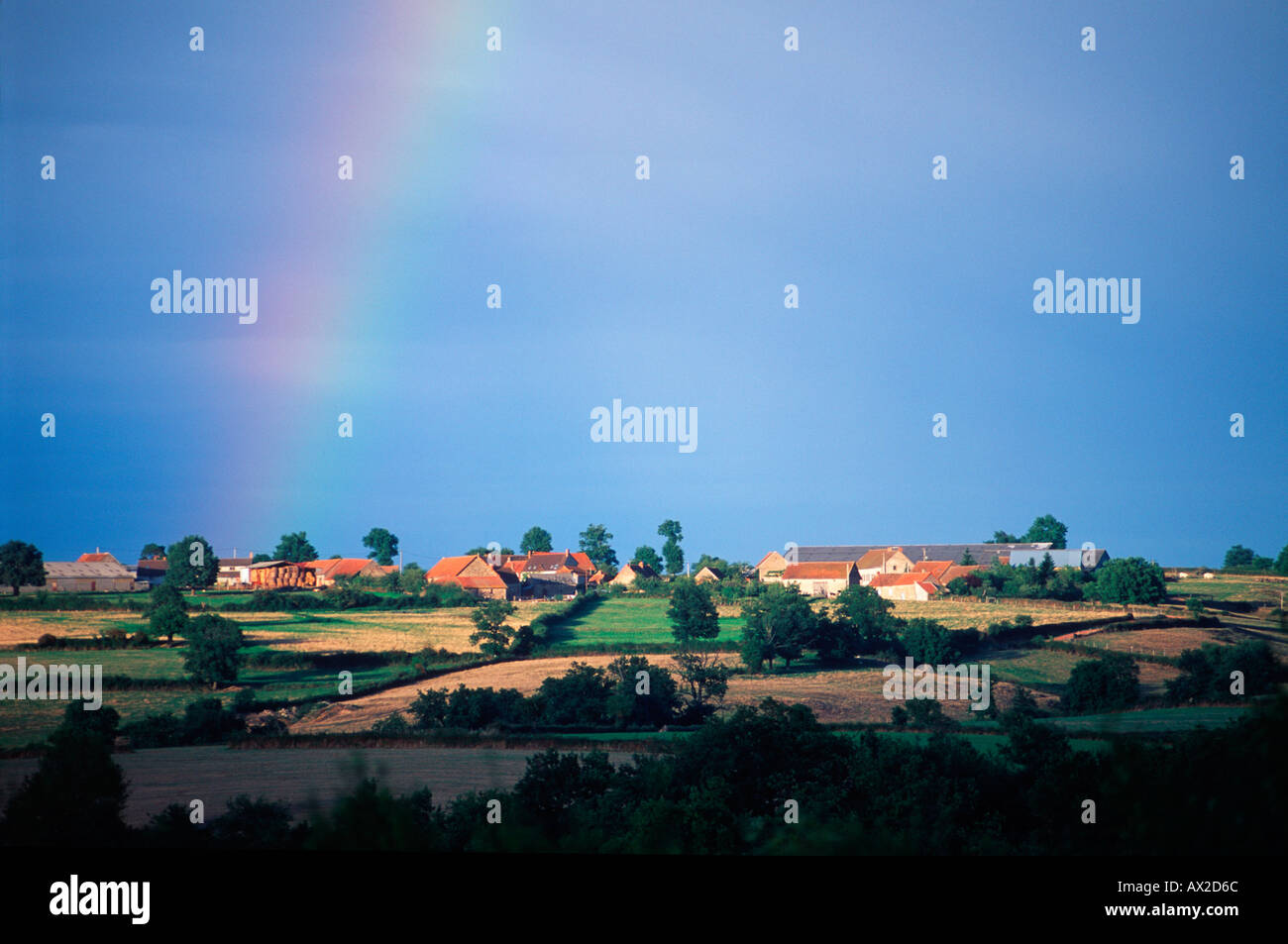 Rainbow over cows hi-res stock photography and images - Alamy