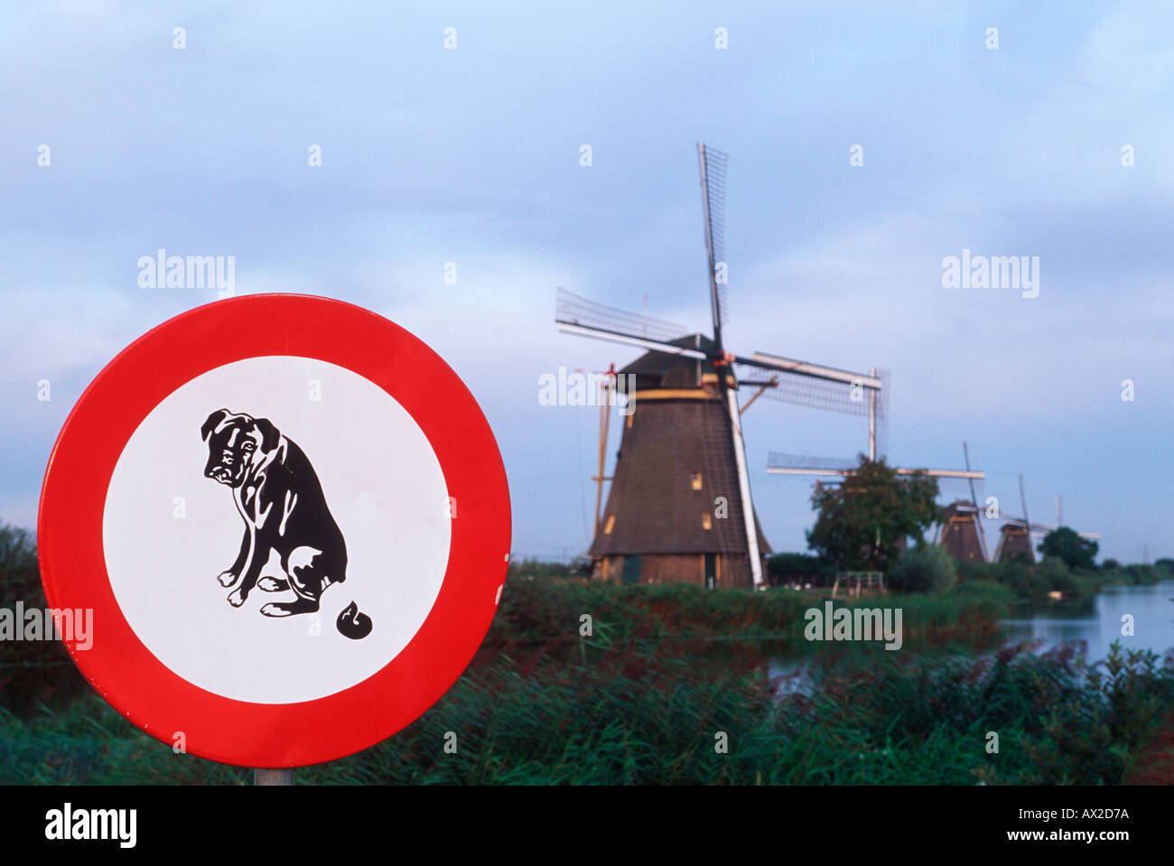Netherlands Holland Kinderdyck windmills line canals dog walking sign ...