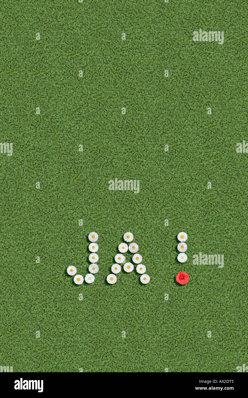 German ja hi-res stock photography and images - Alamy