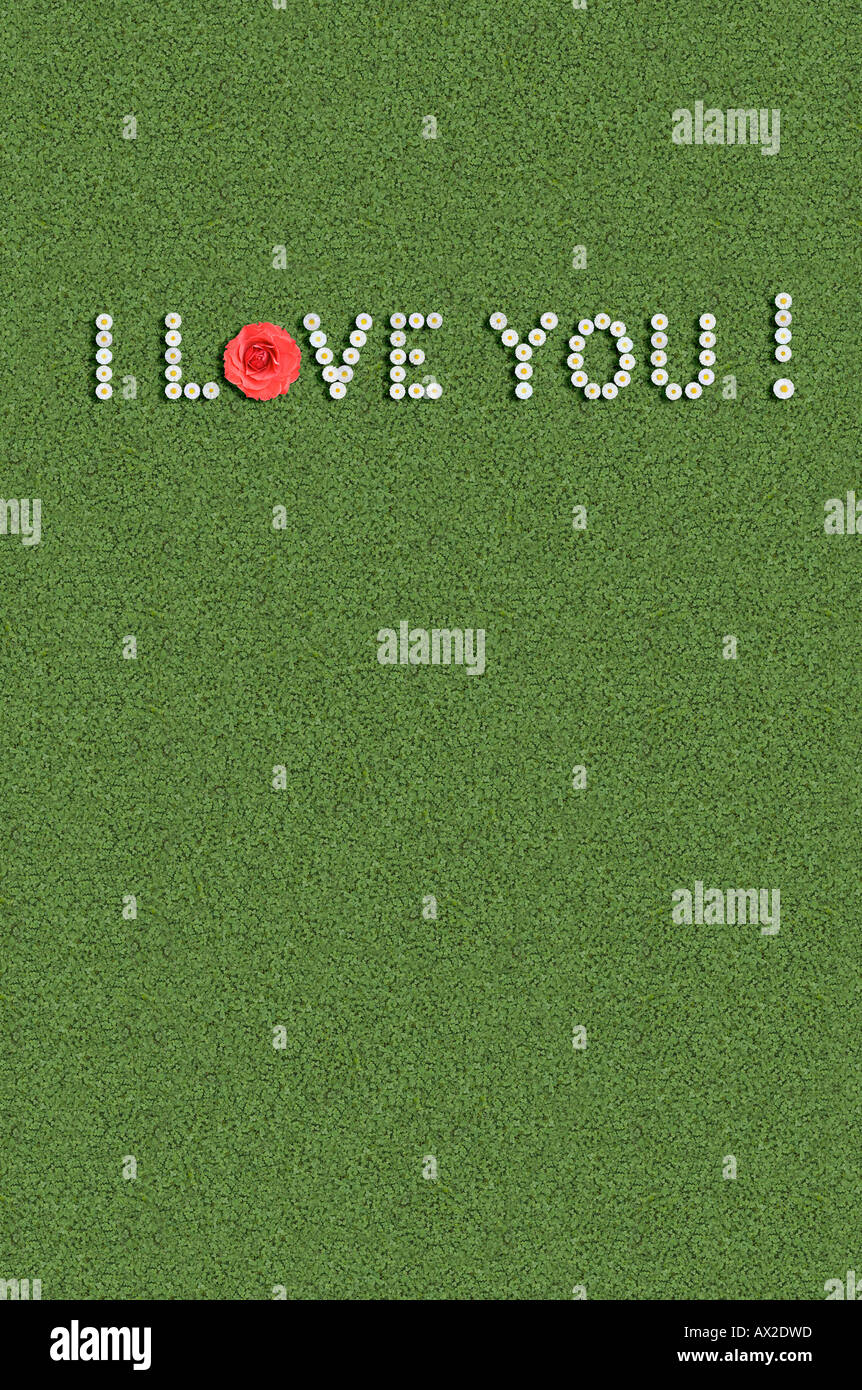 I love you written with flowers Stock Photo - Alamy