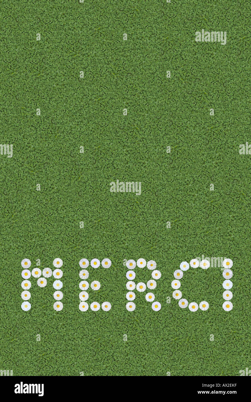 Merci Thanks Thank you in french language written with flowers Stock ...