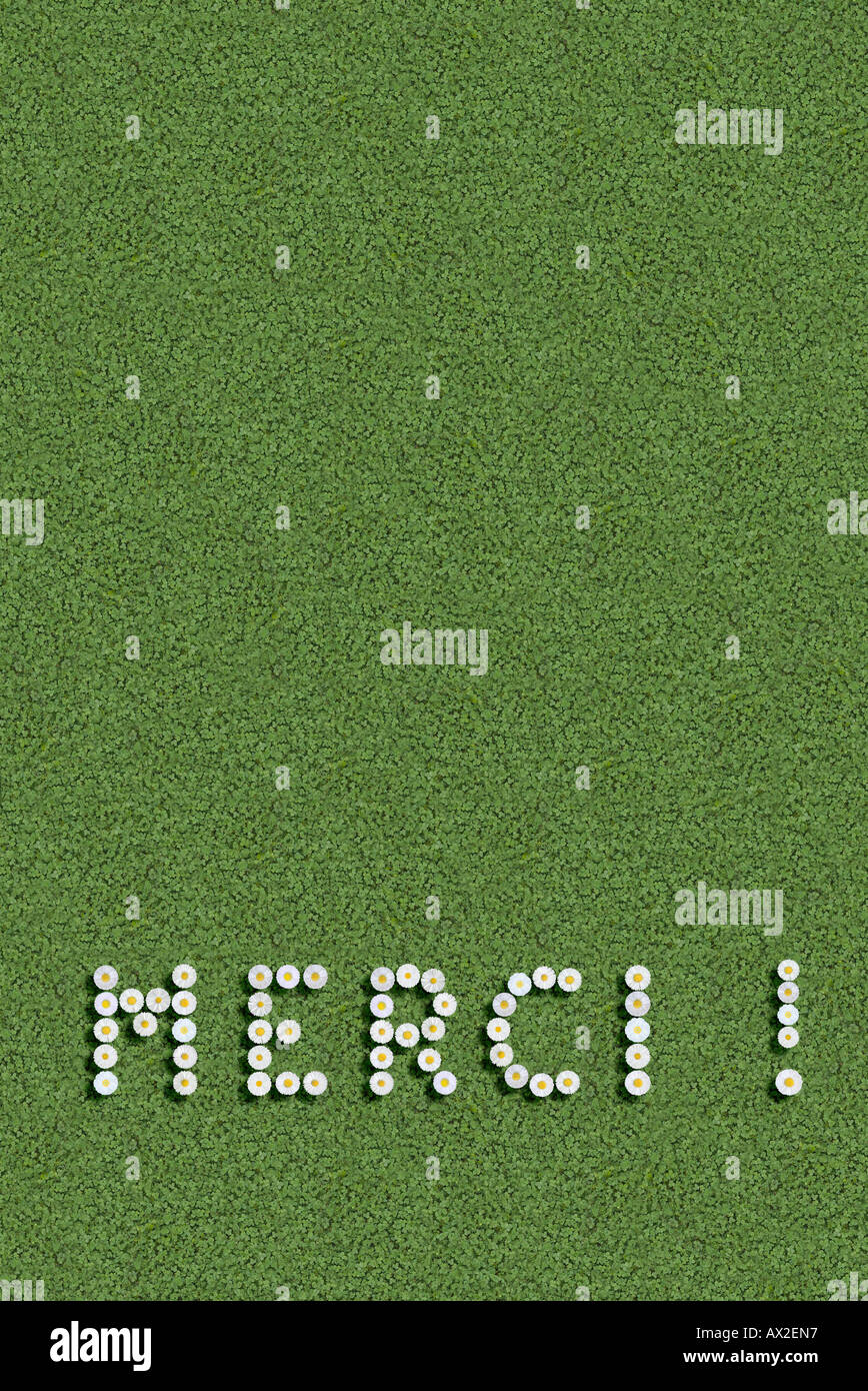 Merci Thanks Thank you in french language written with flowers Stock ...