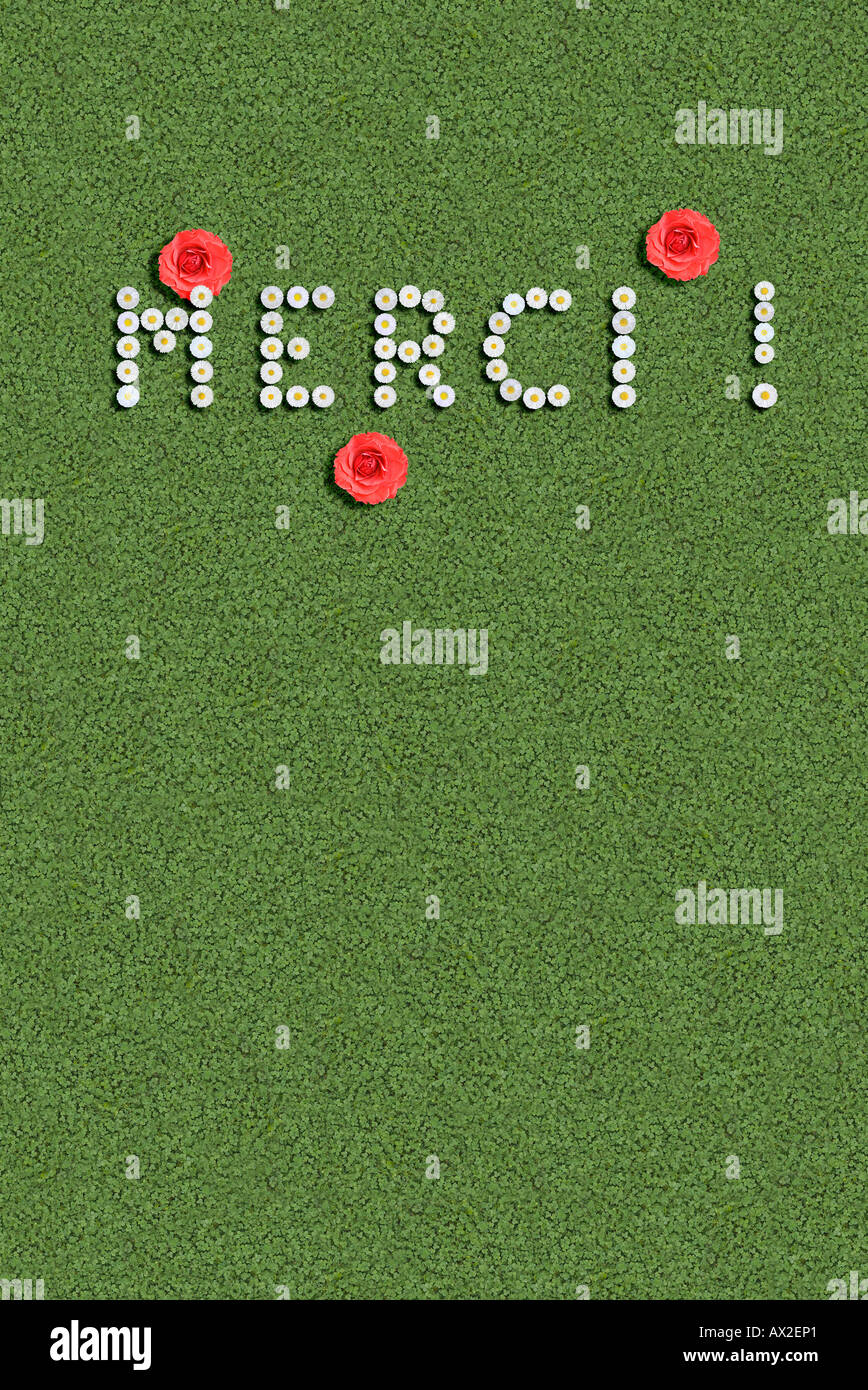 Merci Thanks Thank you in french language written with flowers Stock ...