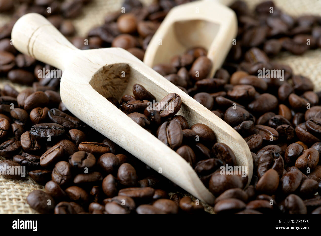 Natural coffee beans composition on white background with sack cloth ...