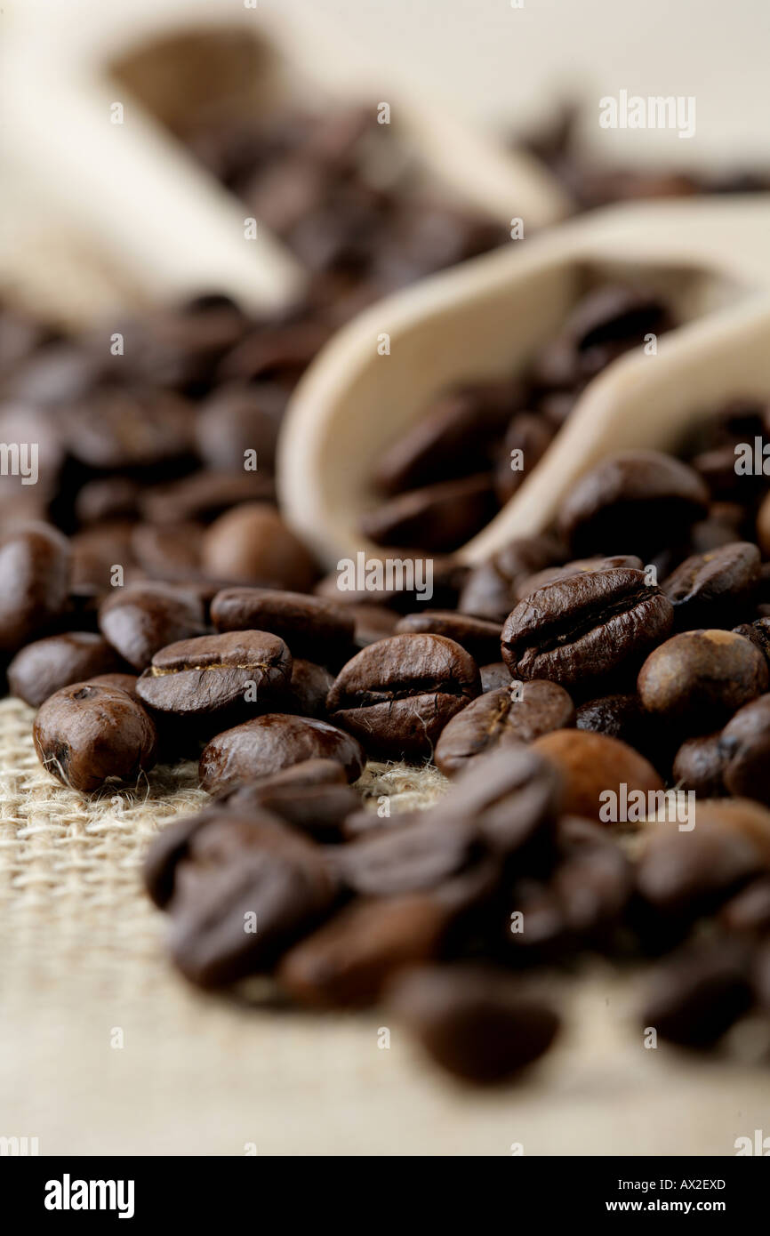 Natural coffee beans composition on white background with sack cloth ...