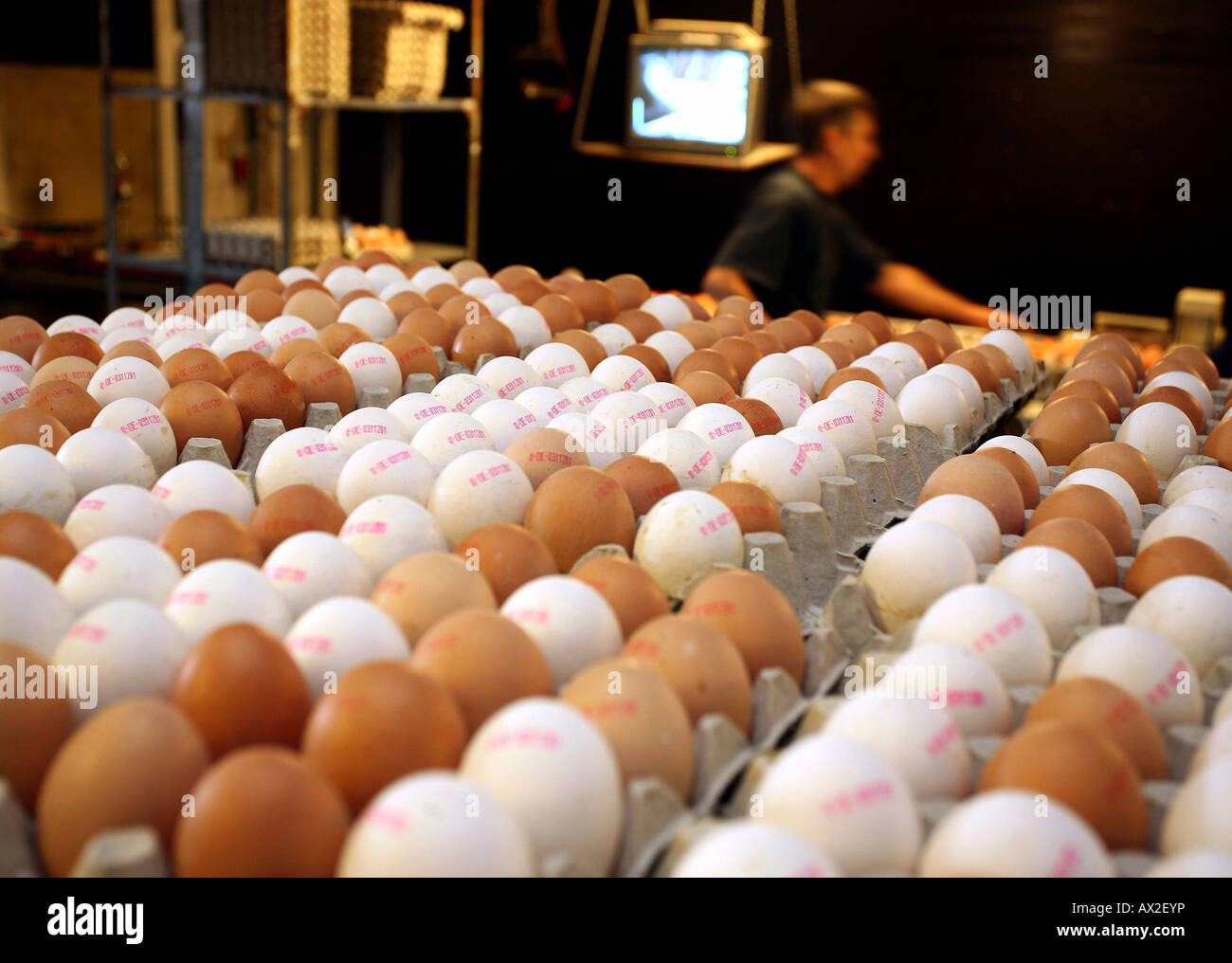 Stamped eggs hi-res stock photography and images - Alamy