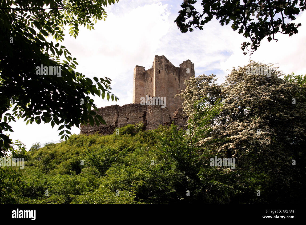 Hamelin plantagenet hi-res stock photography and images - Alamy