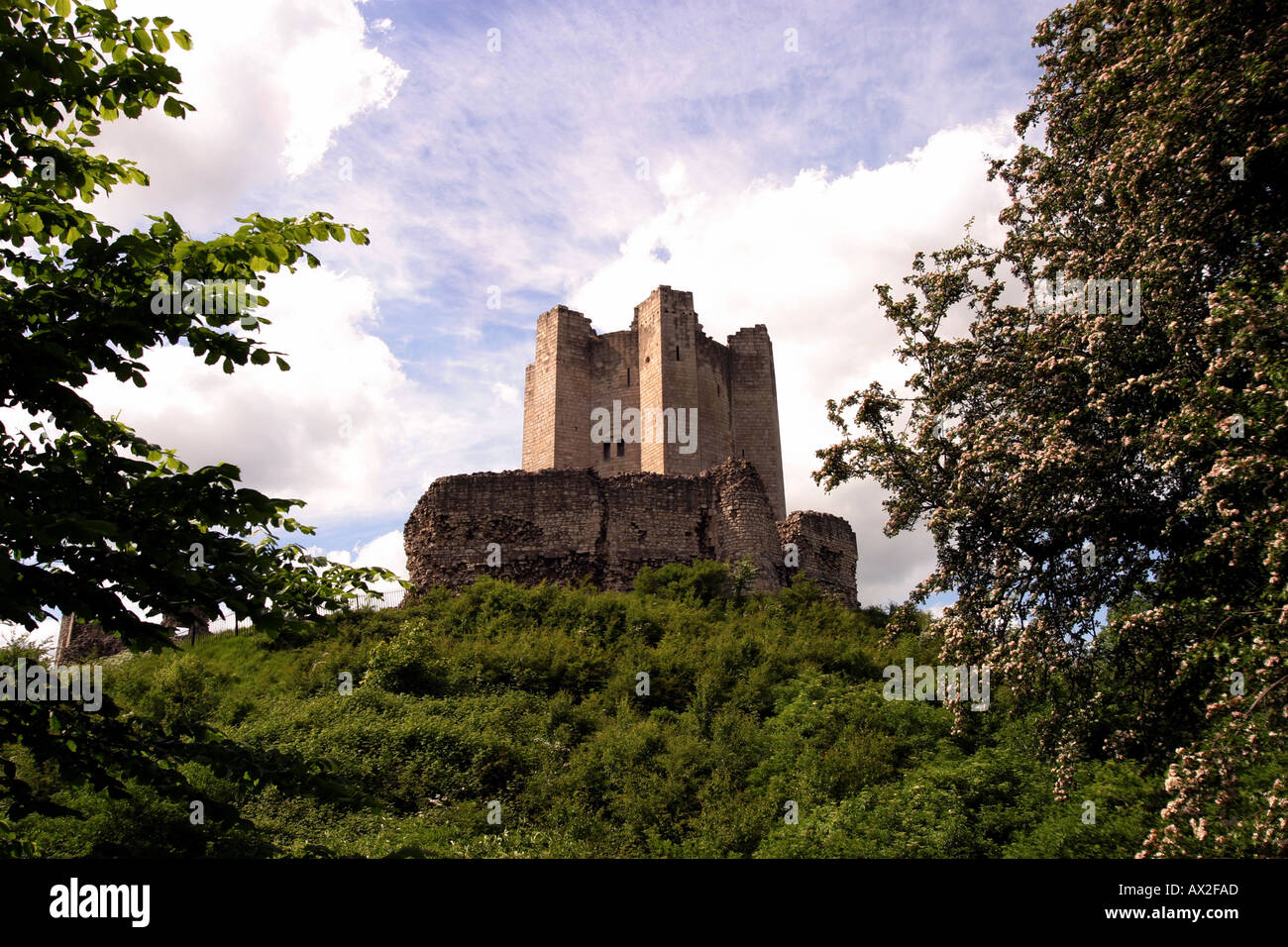 Hamelin plantagenet hi-res stock photography and images - Alamy