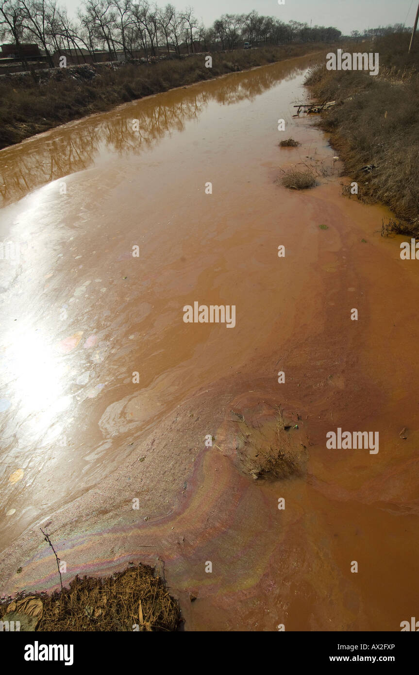 Petroleum products cover the surface of a polluted river east of ...