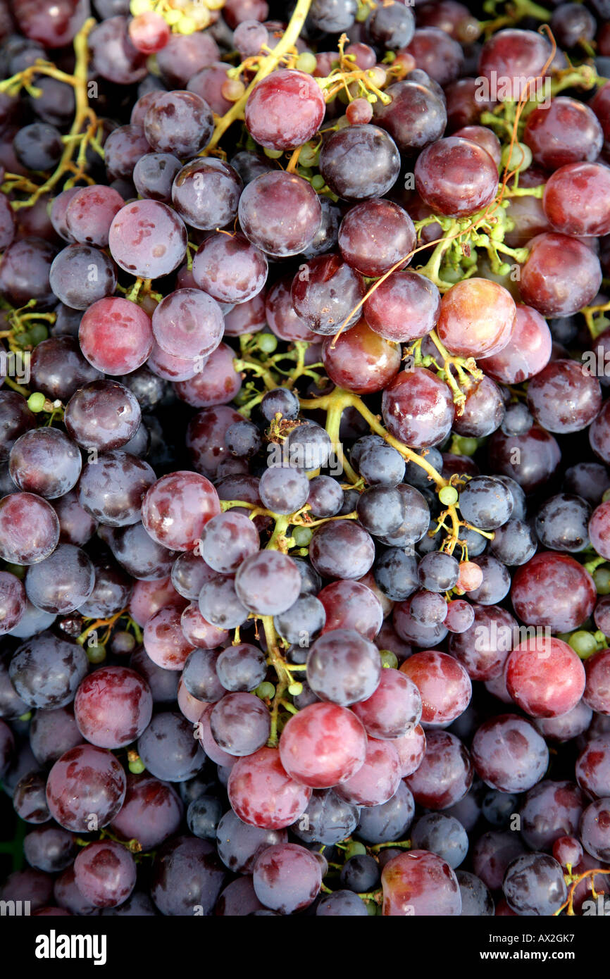 Black grapes on sale at the market place Stock Photo - Alamy