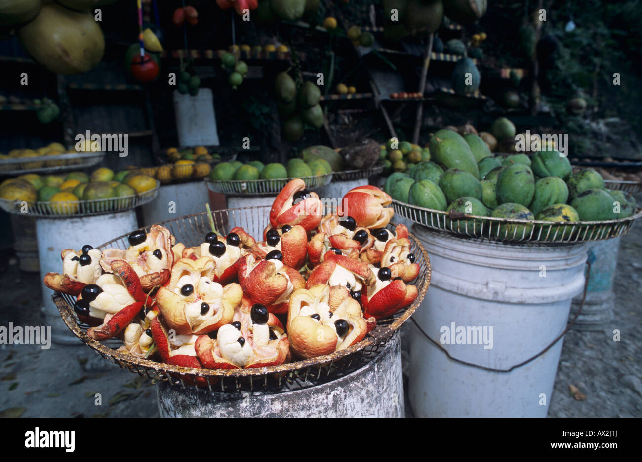 Ackee National Fruit at Street Market Hope Bay Jamaica January 2005 ...