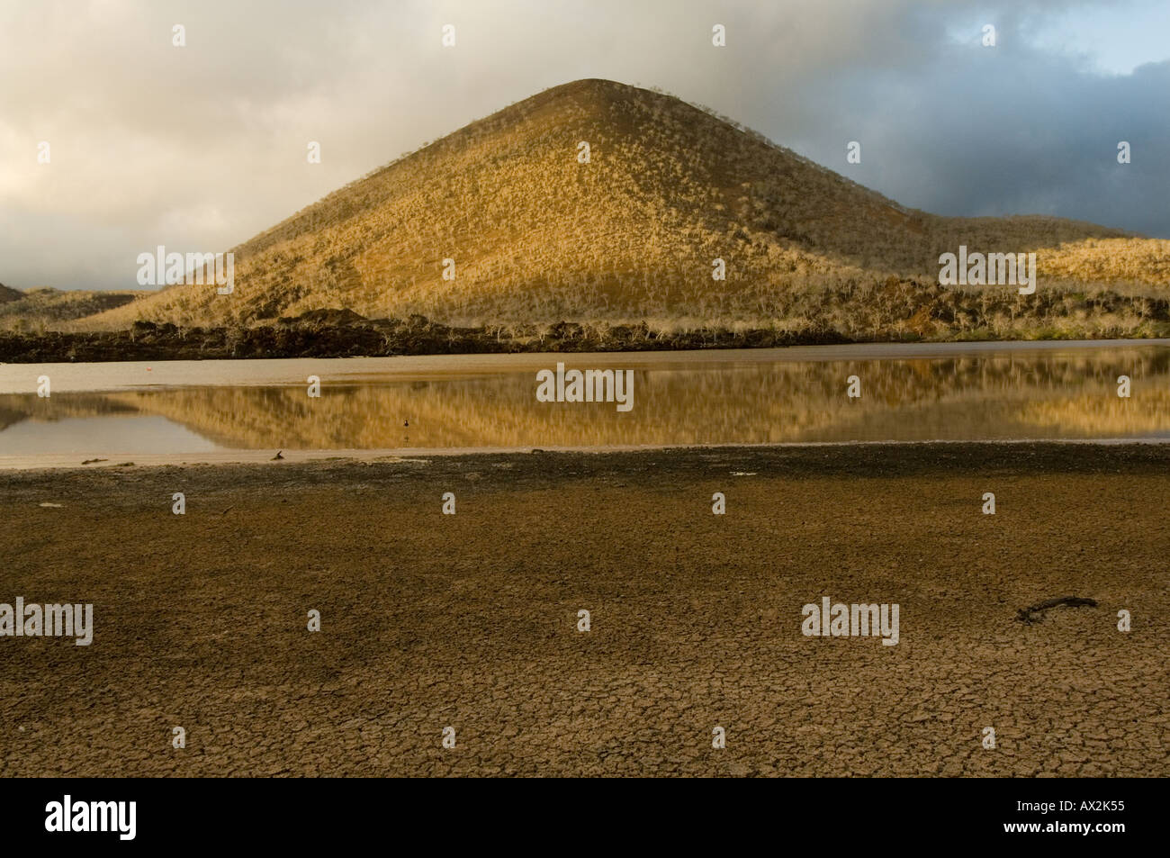 Flamingo Lagoon Punta Cormorant Floreana Galapagos Islands Ecuador ...
