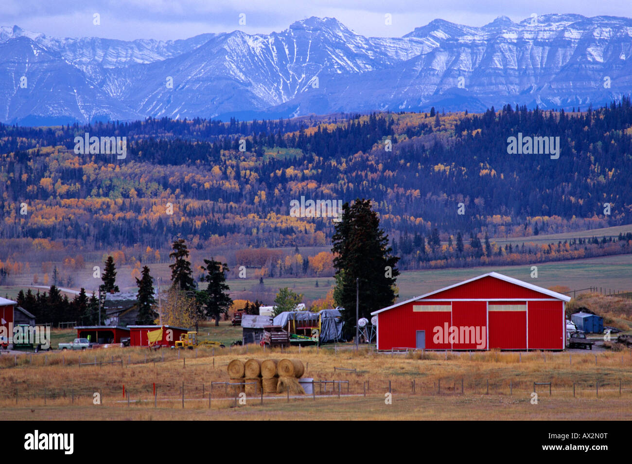 Red Barn in the foothills of Alberta, Canada Stock Photo - Alamy