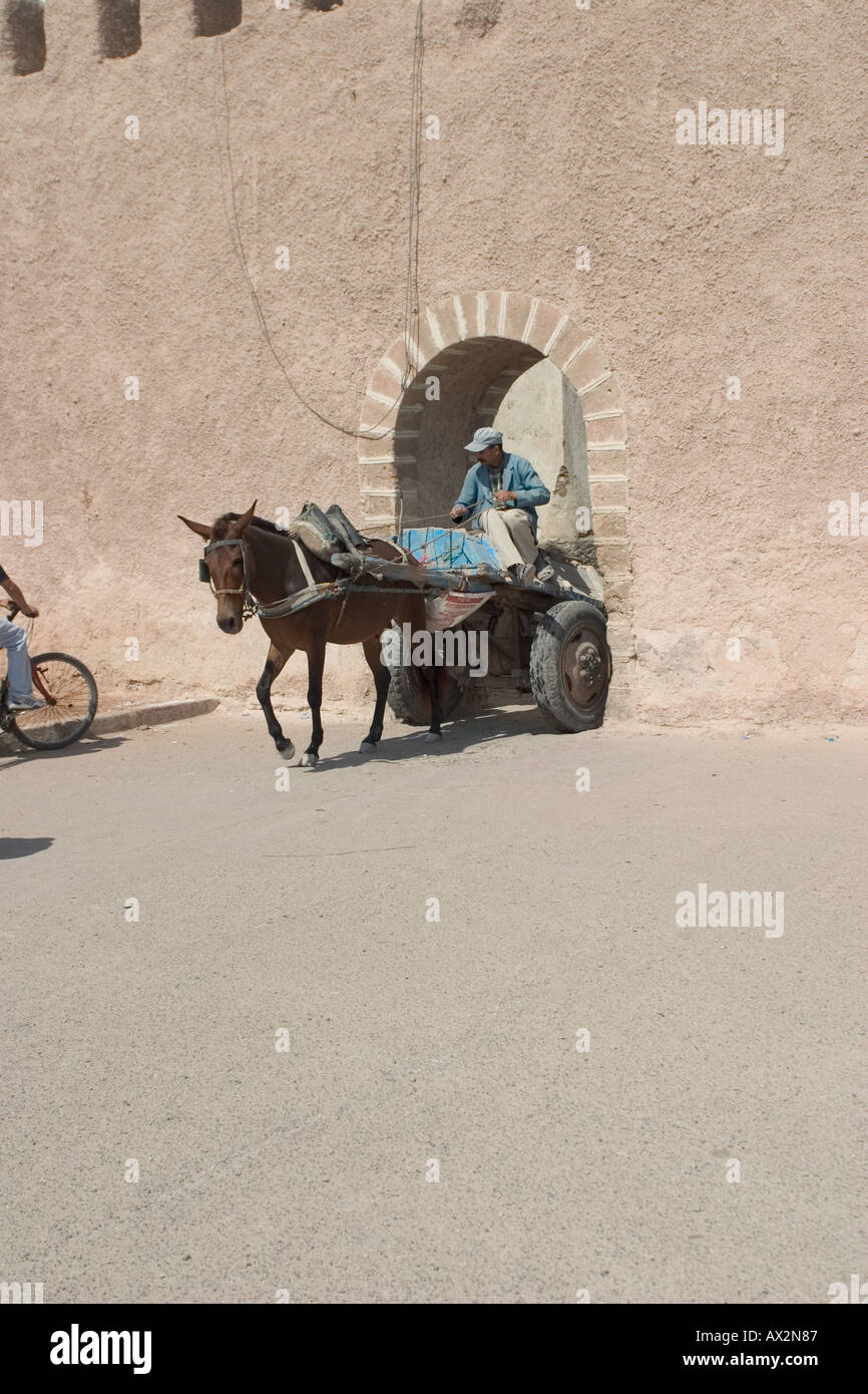 Donkey driven hi-res stock photography and images - Alamy
