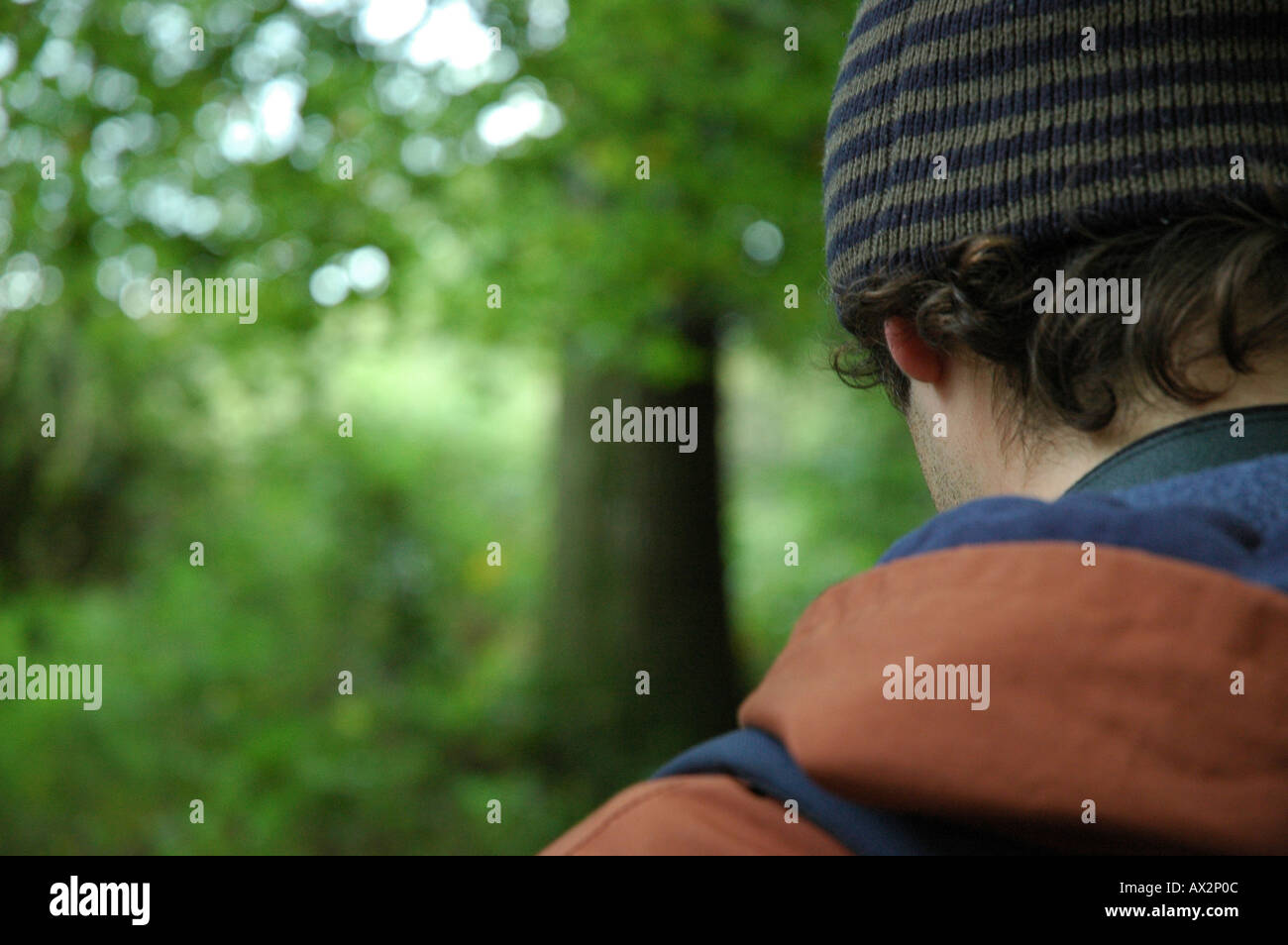 Back of a persons head in the forest Stock Photo - Alamy