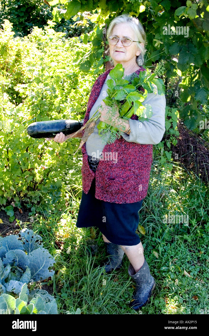 Collecting old vegetables hi-res stock photography and images - Alamy