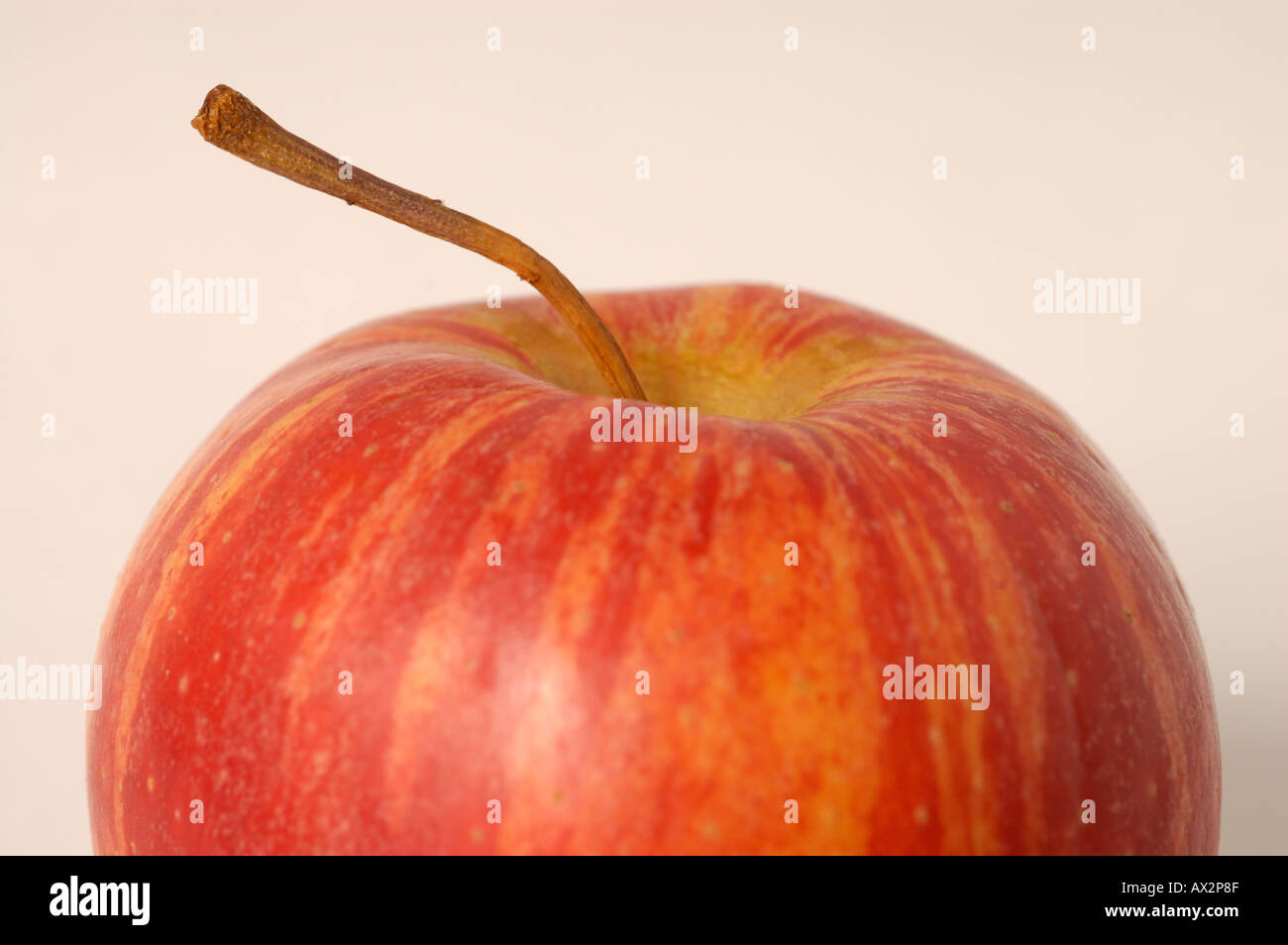 Apple stalk apfel stiel hi-res stock photography and images - Alamy