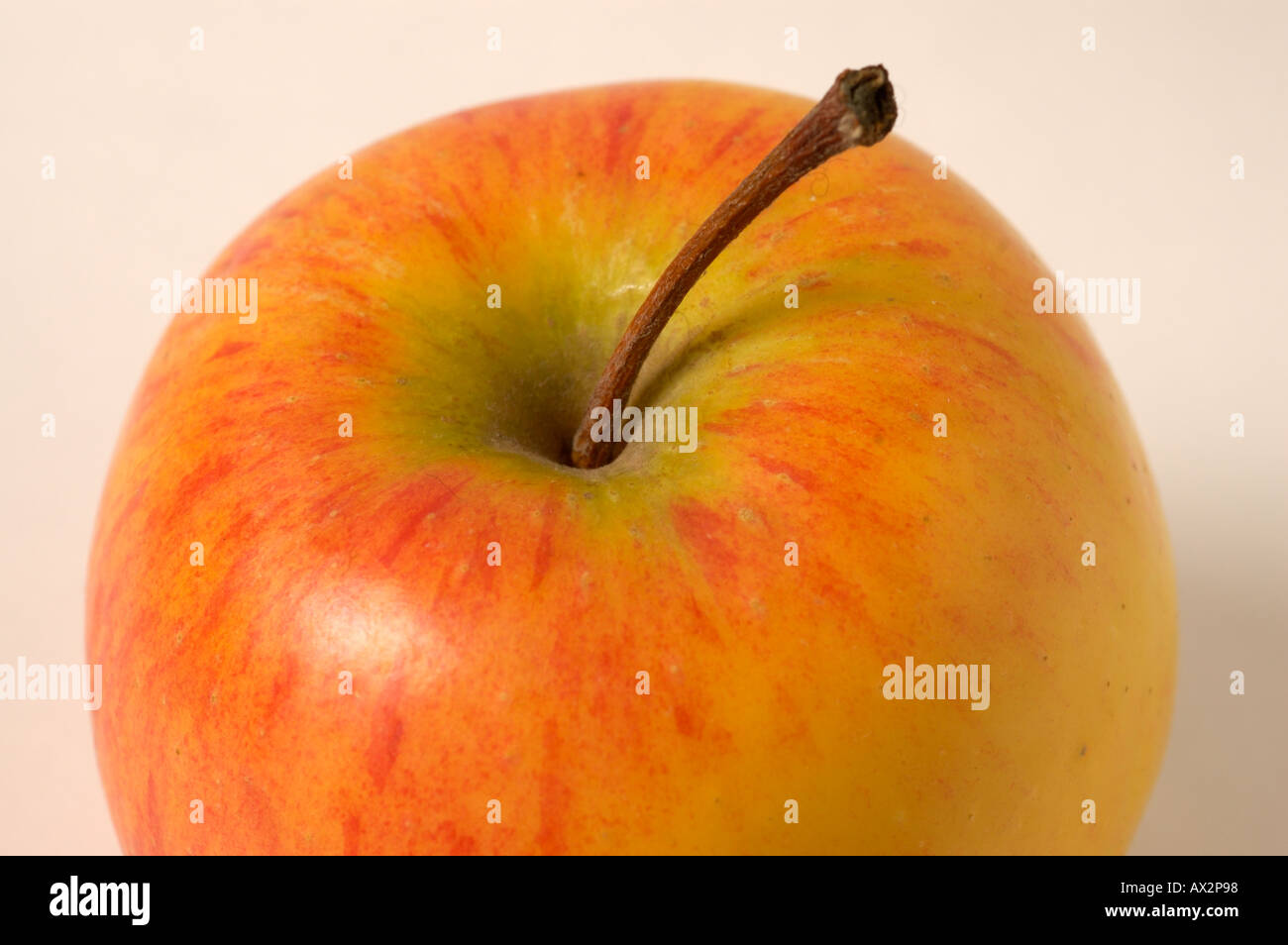 Apple stalk apfel stiel hi-res stock photography and images - Alamy