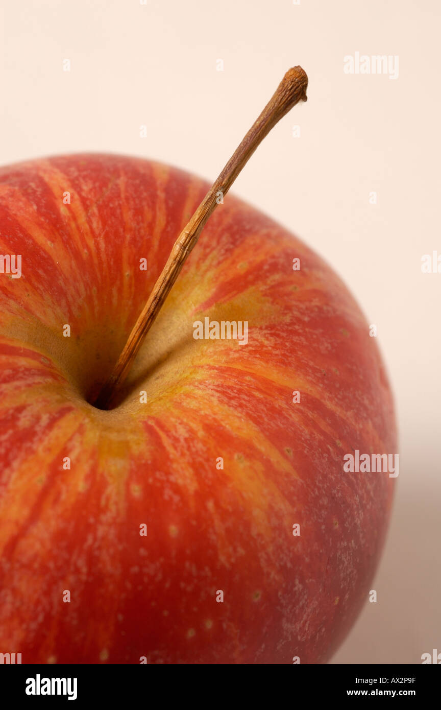 Apple stalk apfel stiel hi-res stock photography and images - Alamy